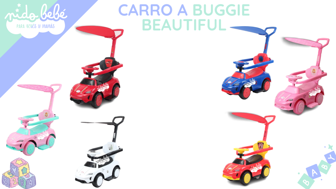 CARRO A BUGGIE BEAUTIFUL – Nido Bebe