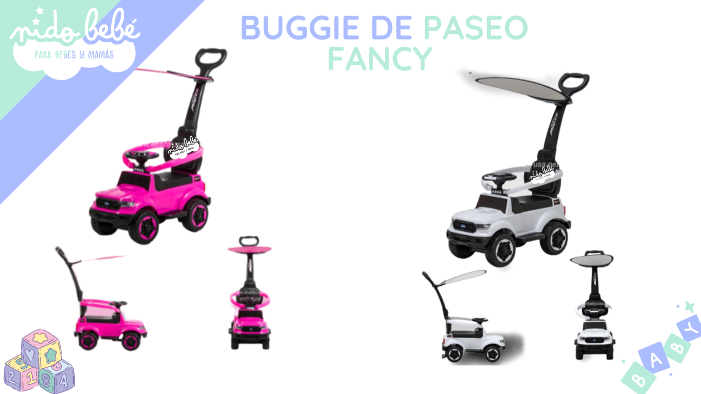 BUGGIE DE PASEO FANCY – Nido Bebe